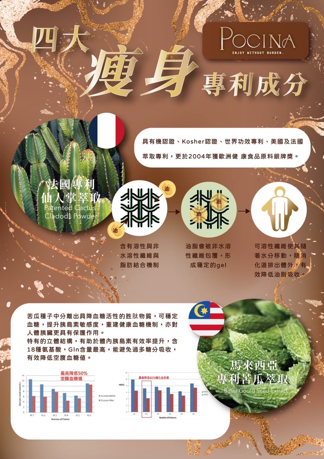 POCINA可可華田代餐 - Twproduct