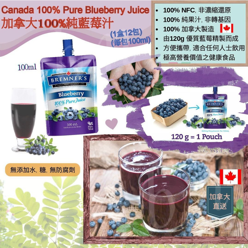20220810 加拿大Bremner's 100%藍莓純果汁(一箱12包) 10月中 - SPARK BUY