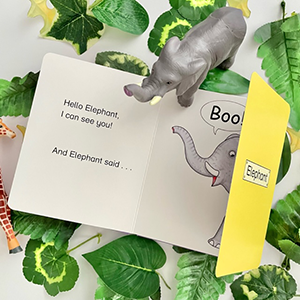 The Boo Zoo: A Peekaboo Lift the Flap Book (9781529074673) - 網上書店 ...