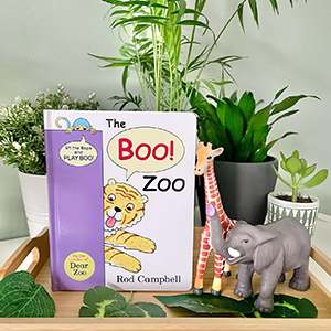 The Boo Zoo: A Peekaboo Lift the Flap Book (9781529074673) - 網上書店 ...