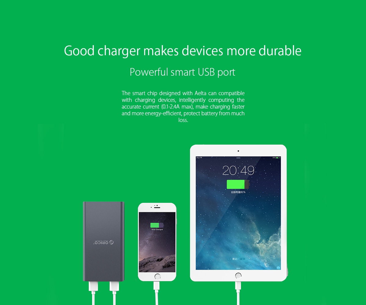 ORICO 10 Ports 120W USB Smart Charging Station with Phone & t - ORICO-HK