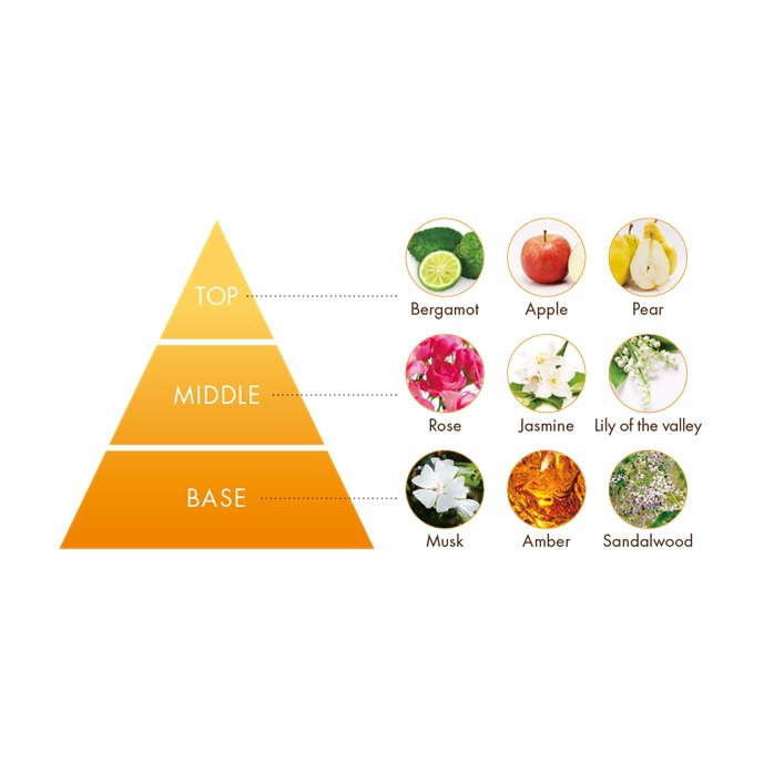 【POLA】NEW SHOWER BREAK 蜂王漿洗髮水/ 護髮素/ 沐浴露 - 樂活主義 Lohaslism - 樂活主義 Lohaslism