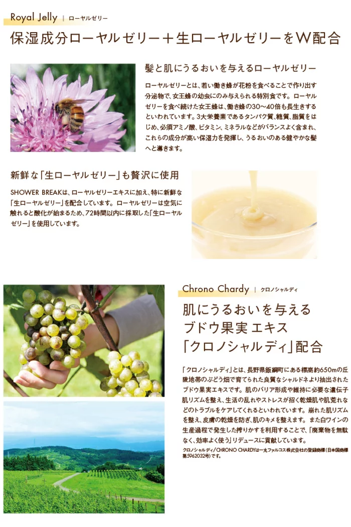 【POLA】NEW SHOWER BREAK 蜂王漿洗髮水/ 護髮素/ 沐浴露 - 樂活主義 Lohaslism - 樂活主義 Lohaslism